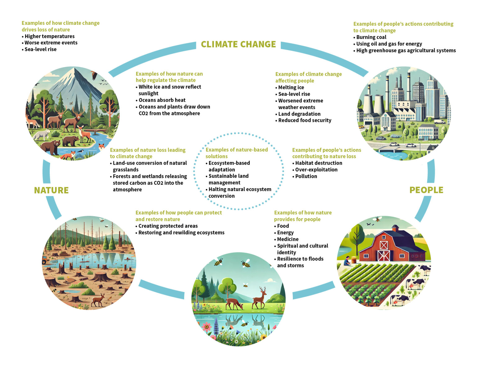 Understanding Nature-related Risks vs. Climate Risks - The Actuary Magazine